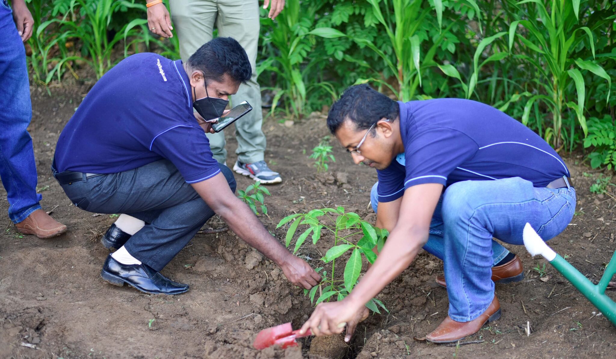 DPL Distributes 30,000 Rubber Saplings to Boost Farmers’ Yield ...