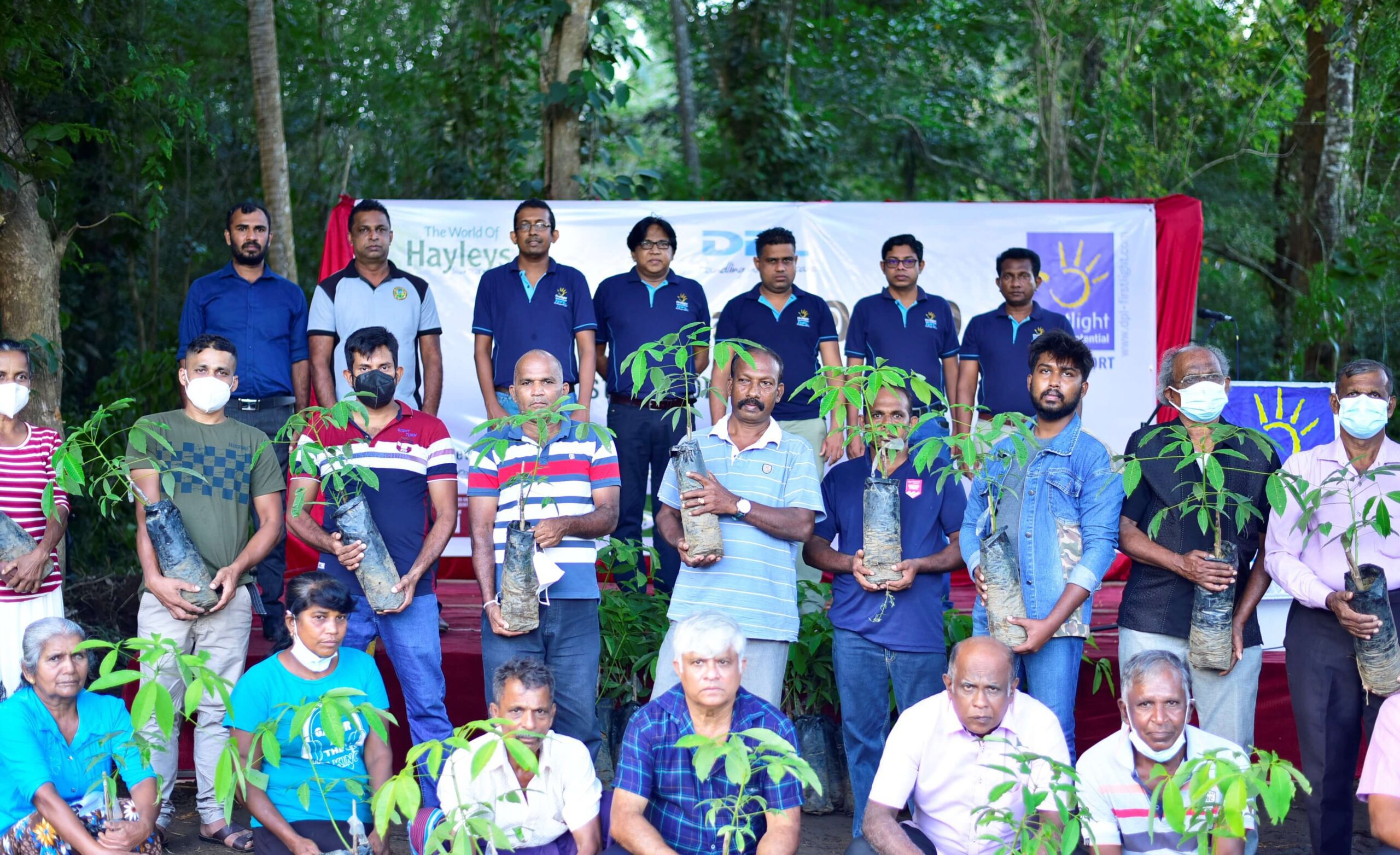 DPL Distributes 30,000 Rubber Saplings to Boost Farmers’ Yield ...