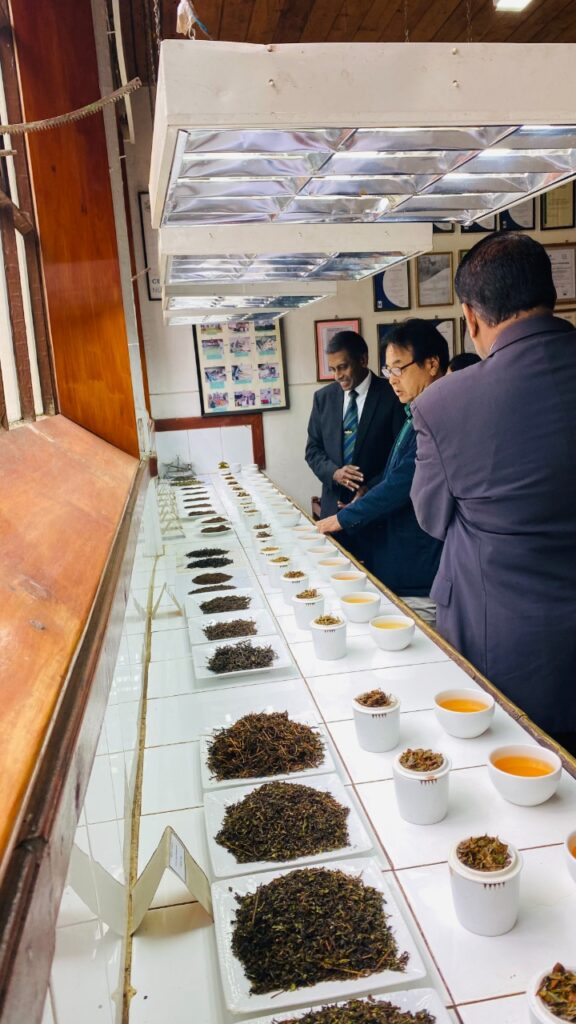 Hayleys Plantations showcases tea innovations from field to factory to ...