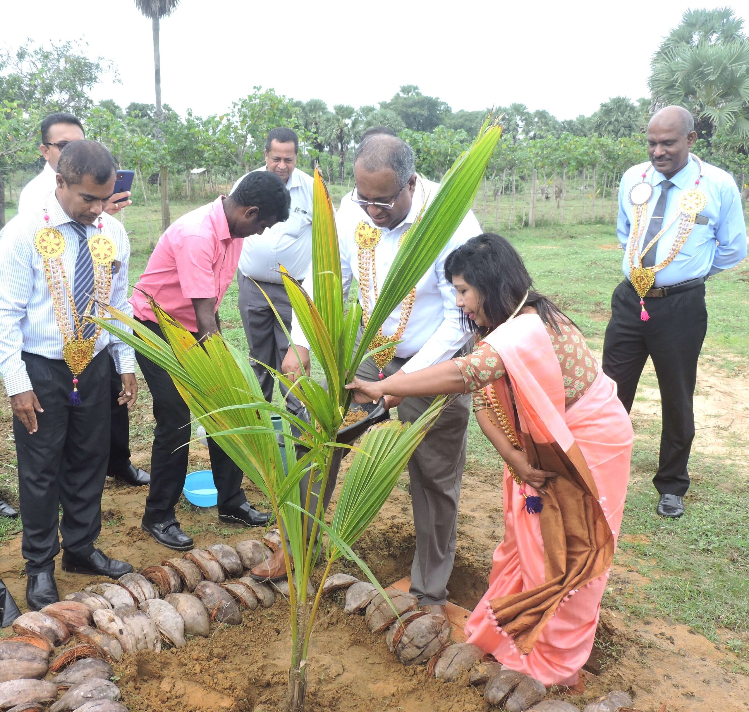 Haycarb PLC's Vision for a Greener Future: A Partnership for ...