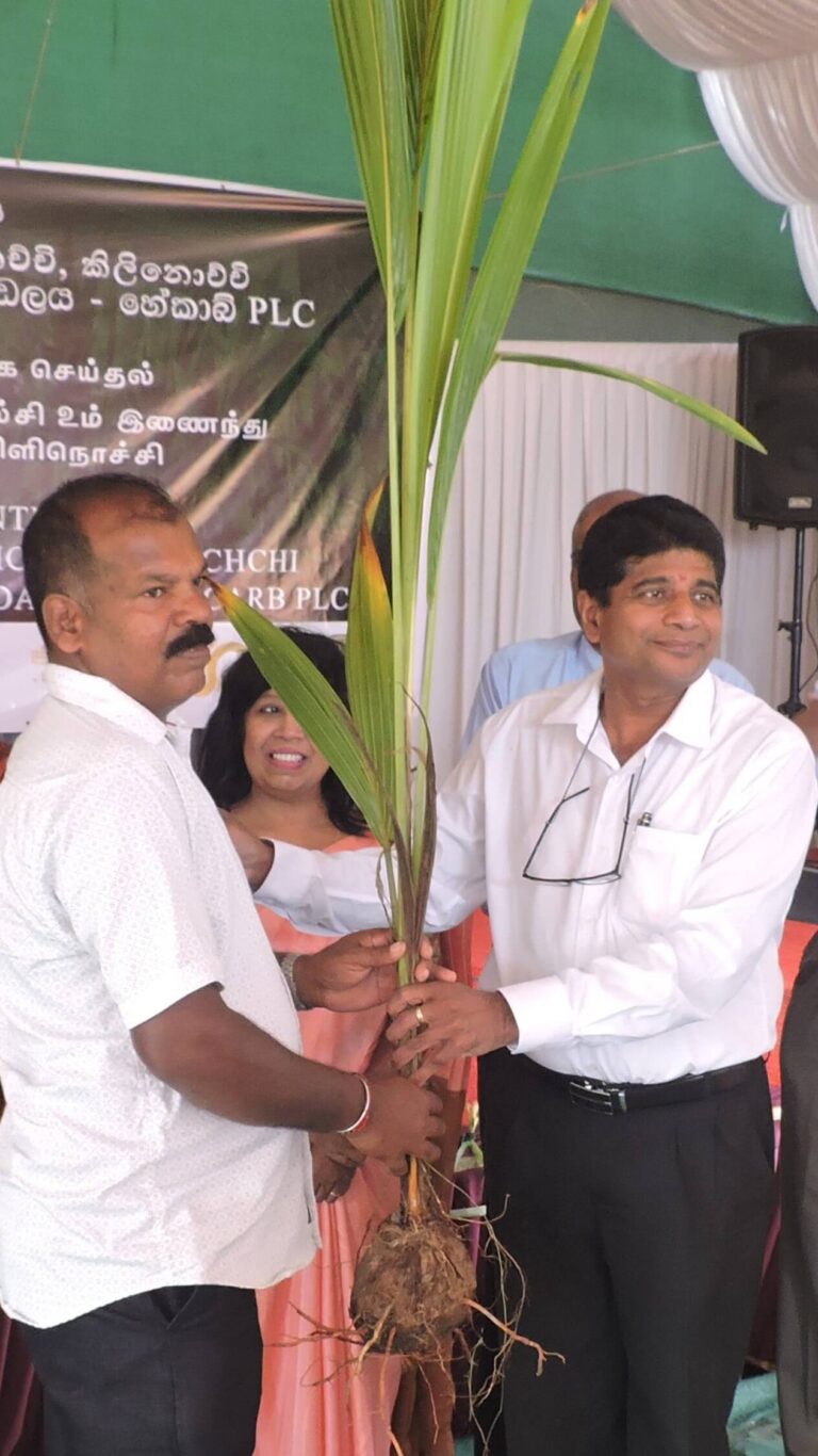 Haycarb PLC's Vision for a Greener Future: A Partnership for ...