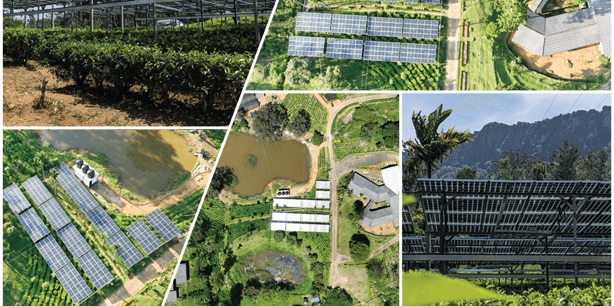 Hayleys Solar Selected for First-of-its-Kind ADB-Developed and Financed ...